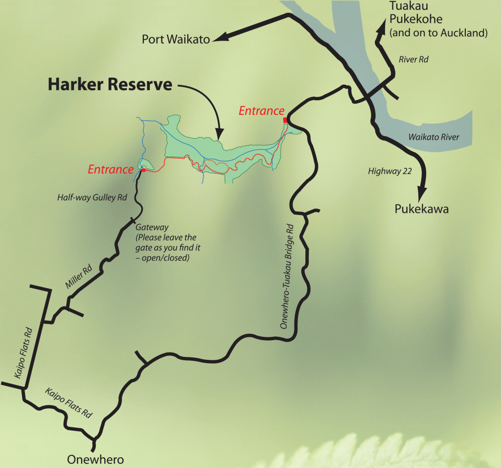 Harker Reserve - Onewhero Local Pages